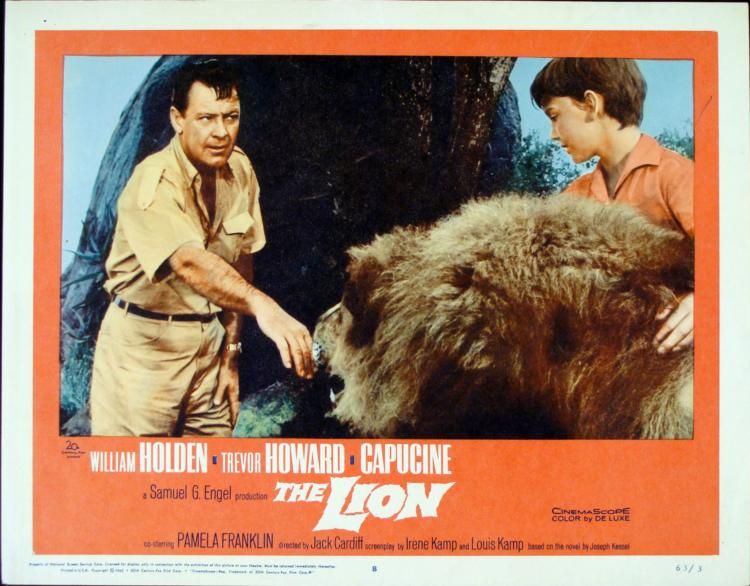 The Lion | Movies ala Mark