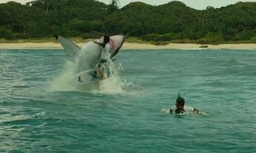 The Shallows | Movies ala Mark