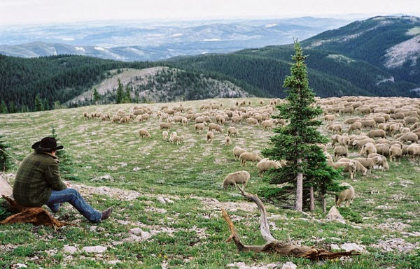 Brokeback Mountain | Movies ala Mark