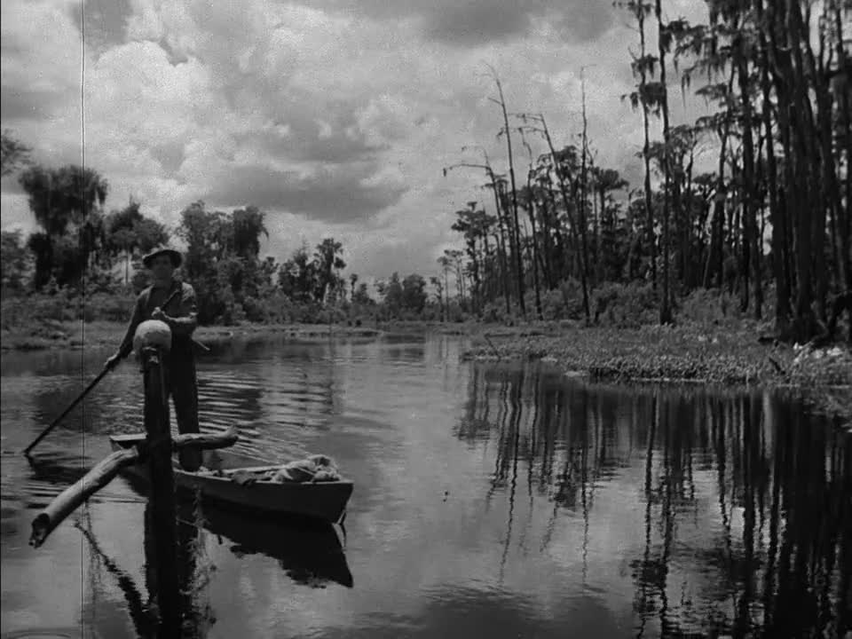 Swamp Water | Movies ala Mark