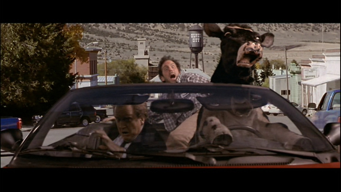 Rat Race | Movies ala Mark